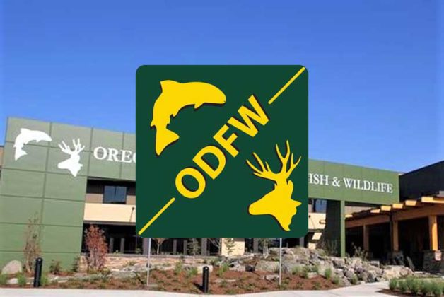 ODFW has Openings for Ladies Hunting Camp | Wild Coast Compass