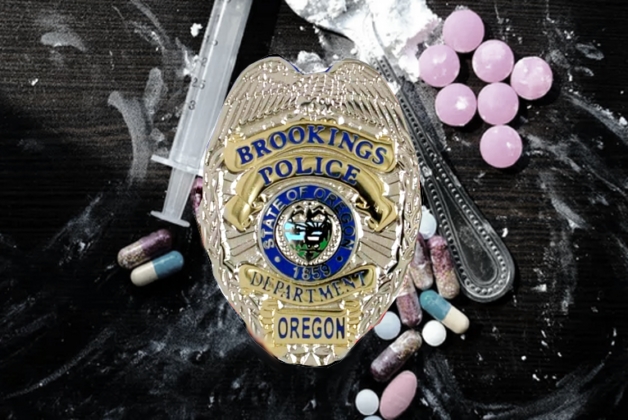 Brookings Police Alerts Parents of Injury and Hospitalizations to Local ...