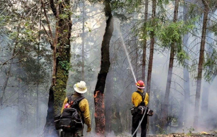 The Rum Fire on Lower Rogue River Near Galice, Now Over 1300 Acres ...