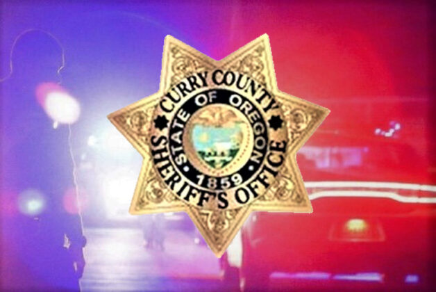 Reports of a Missing Juvenile Results in Curry County Sheriff’s ...