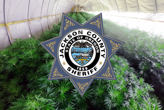 Execution of Search Warrant Yields 25,000 Marijuana Plants Hidden in ...